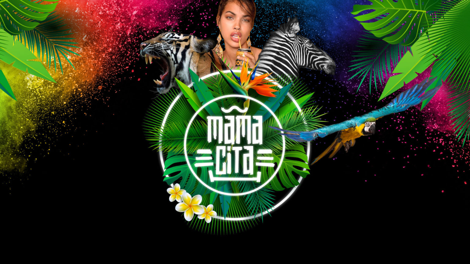 Lucky - The Feel Good Provider